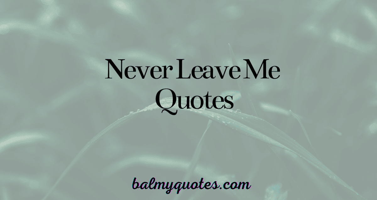 25 Best Never Leave Me Quotes - Heartfelt Sayings & Quotes