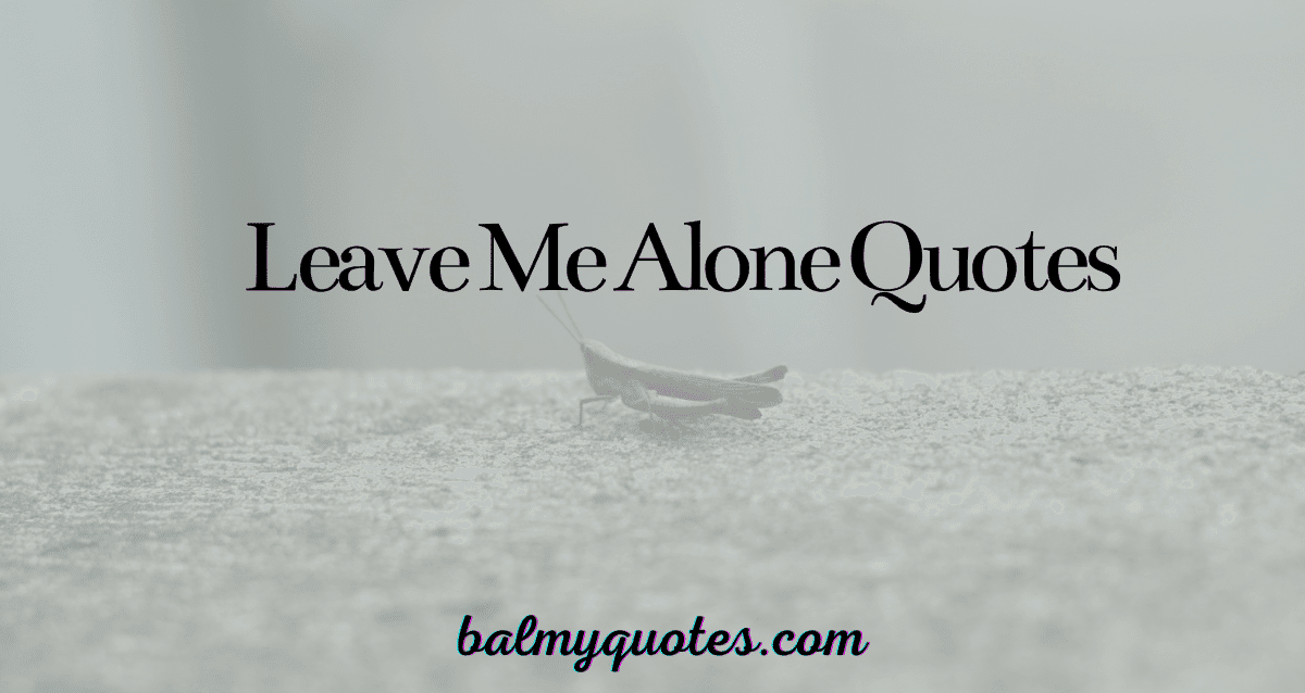 41 Powerful Leave Me Alone Quotes To Enjoy Solitude & Peace