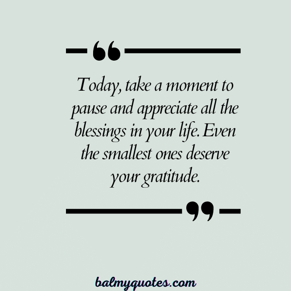 20+ Don't Take Life for Granted Quotes: Embrace Every Moment